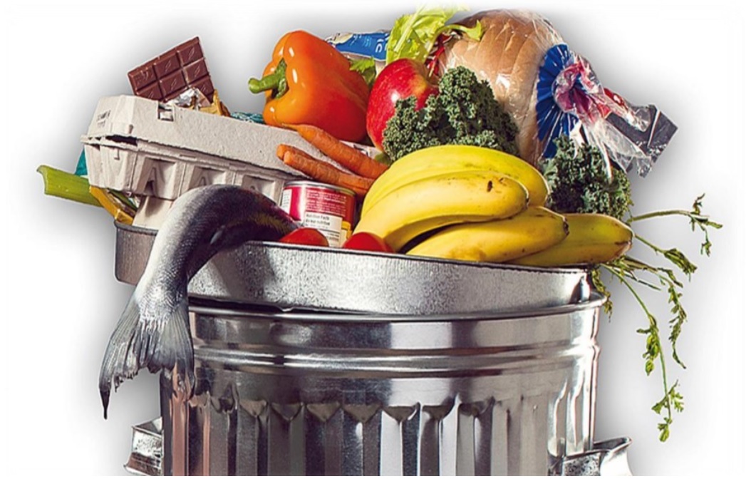 Digitalised enterprises reduce food loss up to 20% - CO-FRESH